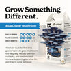 BloomBox Blue Oyster Mushroom Growing Kit - All-Natural – Nublume Mushroom