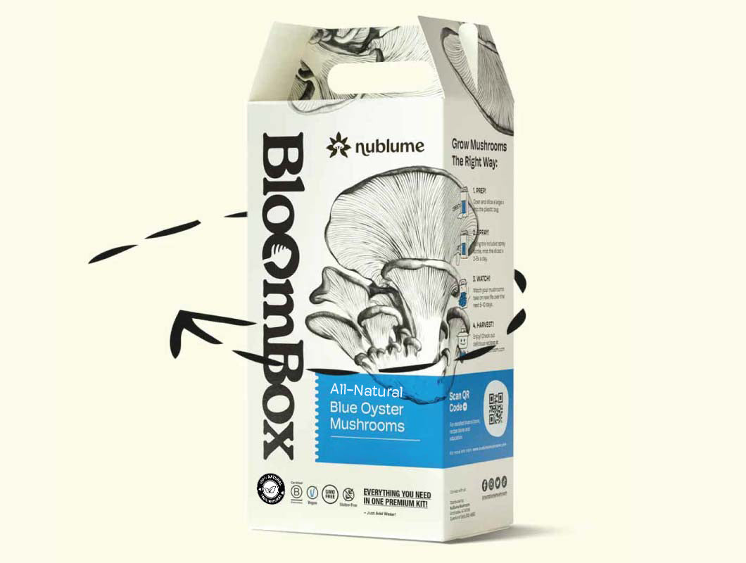 BloomBox Blue Oyster Mushroom Growing Kit - All-Natural – Nublume Mushroom
