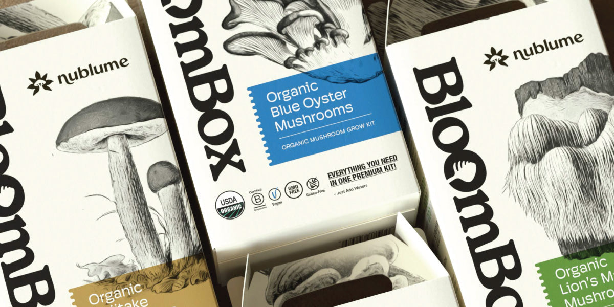 Nublume Mushroom | Official Store® | Buy Mushroom Kits Online