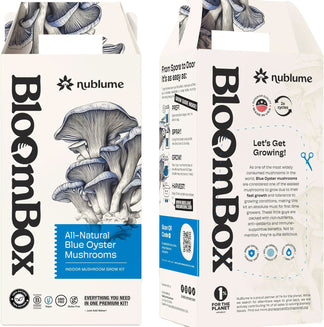 BloomBox Blue Oyster Mushroom Growing Kit - All-Natural – Nublume Mushroom