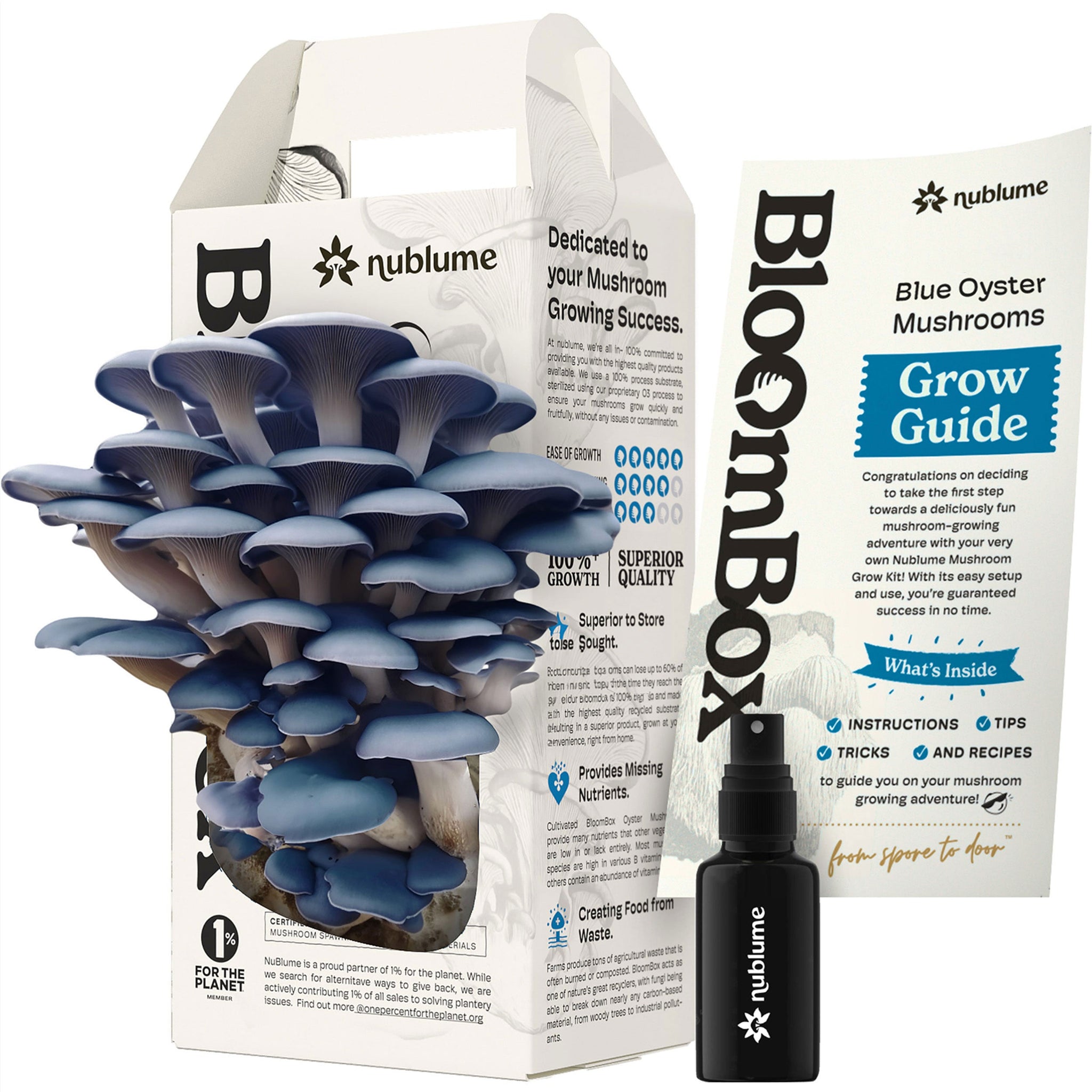 BloomBox Blue Oyster Mushroom Growing Kit - All-Natural – Nublume Mushroom